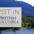 B.C. Provincial Sales Tax (PST): What’s Taxable and What’s Exempt - InSight